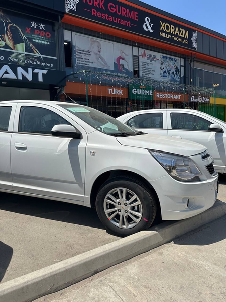 COBALT OQ 2024 yılı