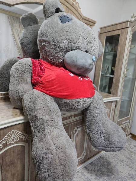 Teddy ayiq. Тедди
