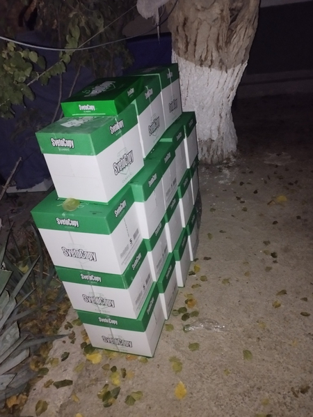 Snegurochka va Sveto copy Super narxda