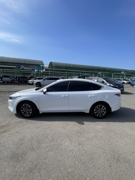 BYd Chazor 2.поз