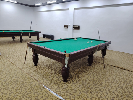 Бильярдный стол bilyard