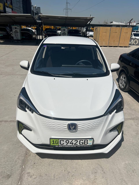 Продам Changan benben e star
