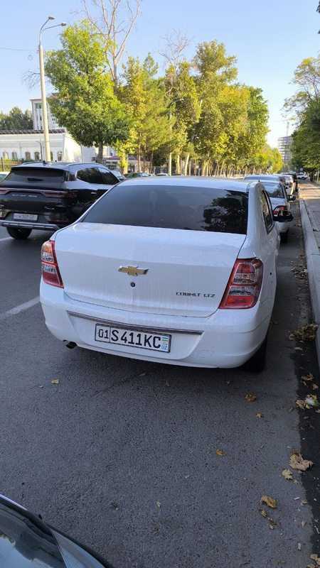 Cobalt at style plus 2024 август