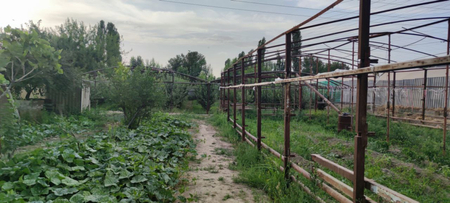 Продаётся Дом с теплицой