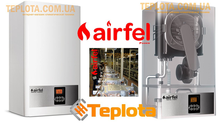 Ремонт и установка Двухконтурный газовый котел