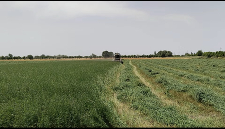 MTZ T28 Beda Jatka