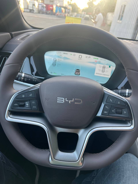 Byd song champion 2025 qora va oq