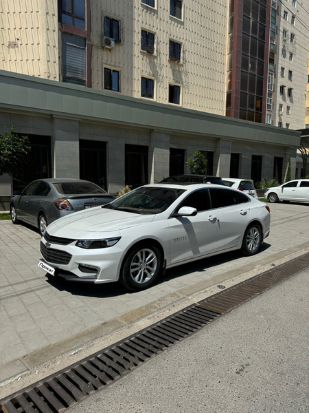 Rent car avto prokat rent uz avto car suxoy arenda sutichni ijara