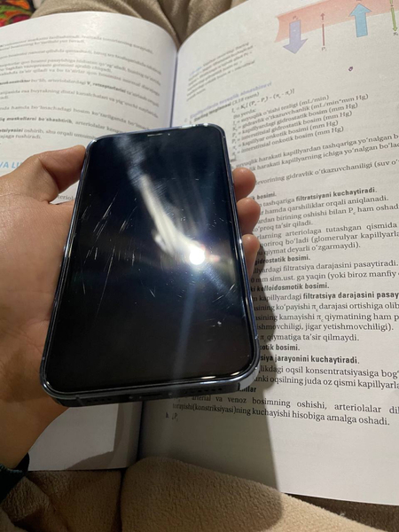 Iphone Xr 13 pro max qilingan