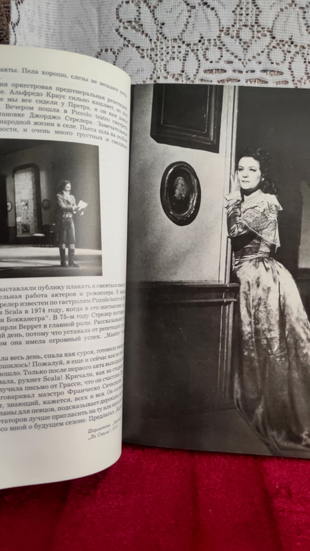 Книга Р. Шейко,Елена  Образцова ,Записки в пути.