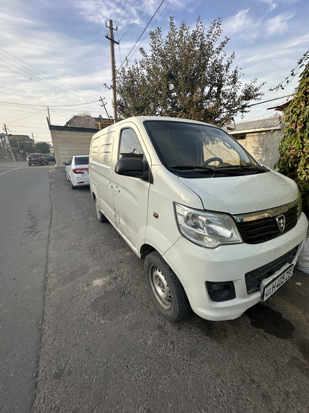 xitoy van damas yil 2015
