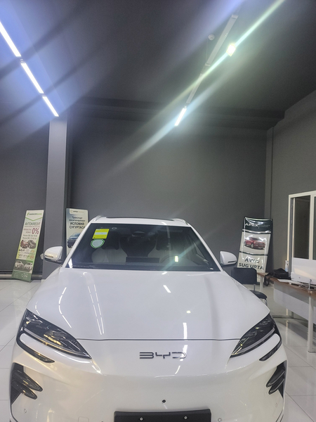 Byd chempion янги горантиялик