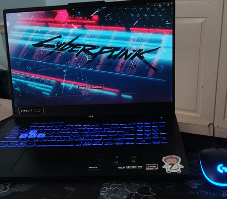 Asus tuf gaming A17 17.3 rtx3060