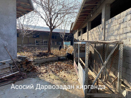 Нотурар жой 53 сотх Тошкентга 9км, марказга 23км