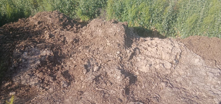 Мол нури сотилади.