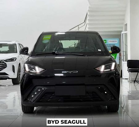 BYD Seagull билан сиз ўзингизни янада қулай ва хавфсиз  сезасиз