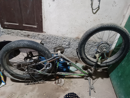velomax balshoy shina