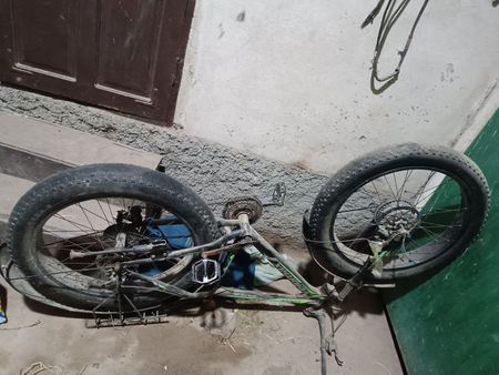 velomax balshoy shina