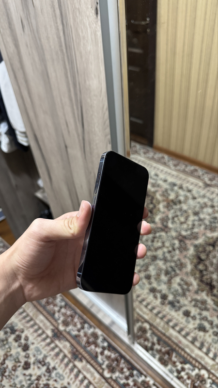 Iphone 13 pro blue
