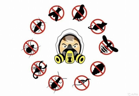 Дезинфекция Дезинсекция Дератизация