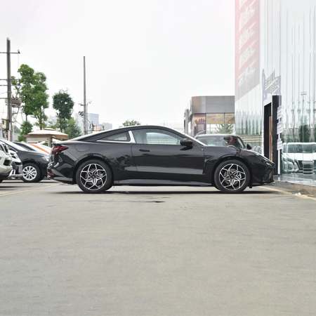NETA GT Sport Version