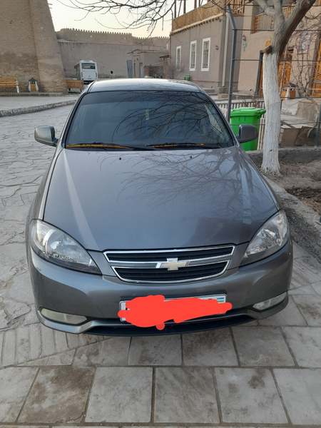 Жентира автомат мокрый цвет