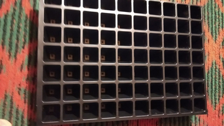 Ko'chat uchun kasseta yacheyka