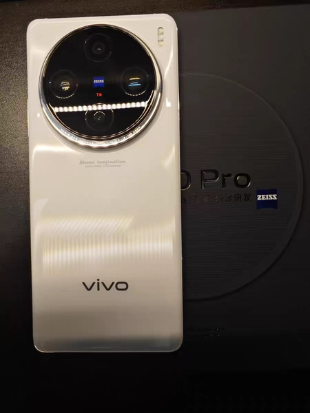 Vivo X100 Pro (New)