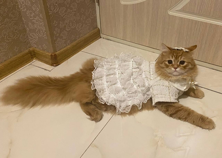 Мухаррамхон тухтакузиева