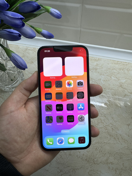 Iphone 13 Pro 256 GB Ideal