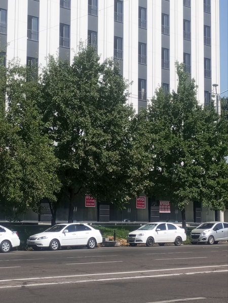 Ofis arendaga beriladi biznes centre