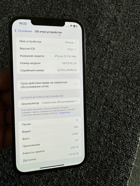 Ipphon (Apple) 12 pro max 256g