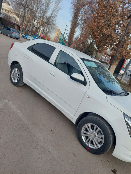 Cobalt Mexanika 2023