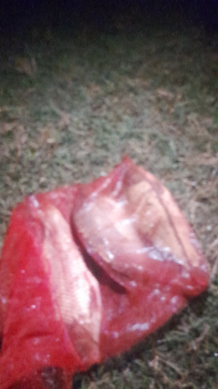 Baliq ombor baliq ovi uchun