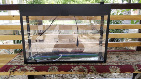 Akvarium baliqlar uchun
