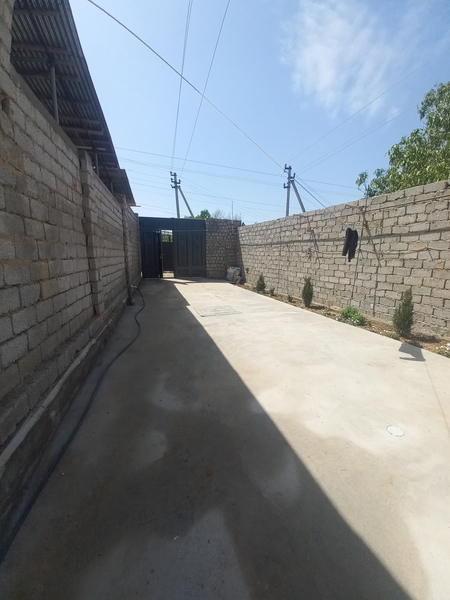 Arendaga berMiz Qora qamiw 600 kv joy bor