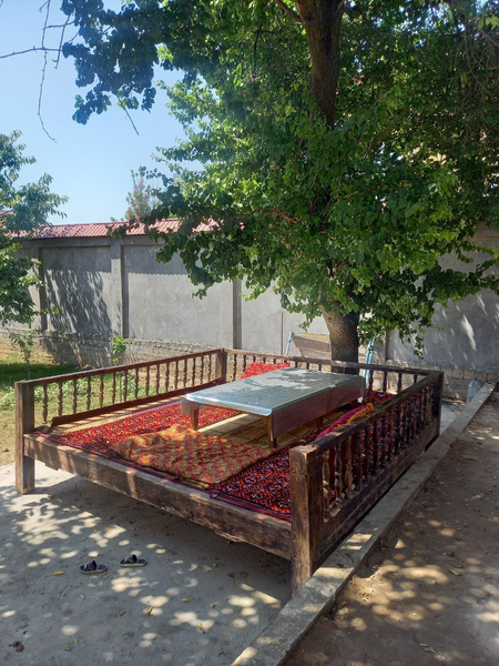 Parkent arenda dacha