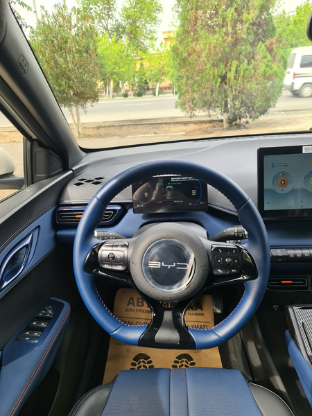 BYD Seagull full pozidsiya
