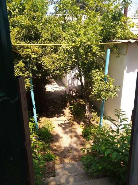 Dacha (dala xovli) sotiladi