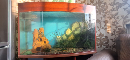 Akvarium sotiladi