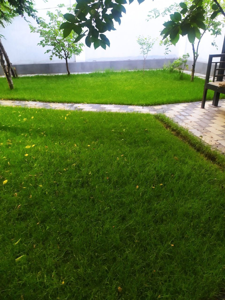 Сдаю участок 5 соток