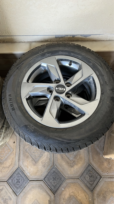 зимние балоны от kia k5