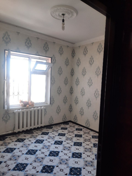 Студент қизларни ижарага қўямиз