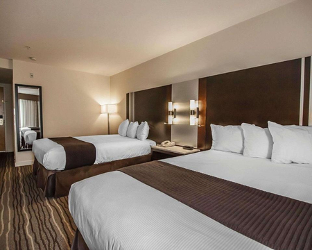 Hotel , Kunlik kvartira , hostel , Mehmonxona , Гостиница ,