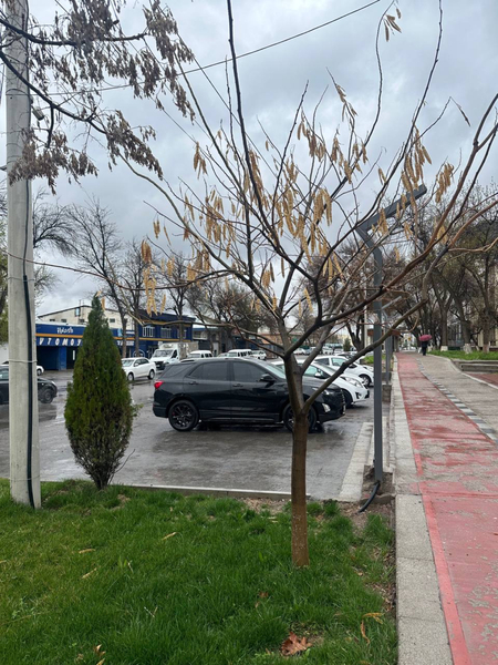 Аренда 21 квартал 140кв метра