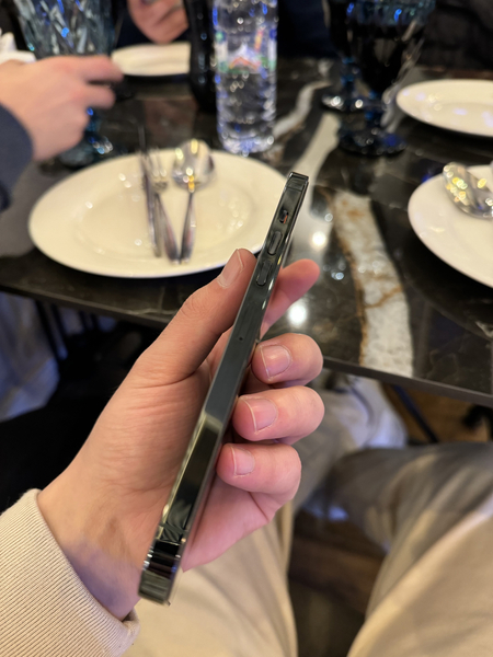 Iphone 13 pro max srochna