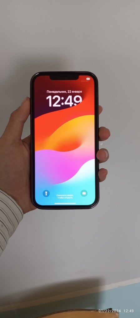Iphone 12 Pro Max
