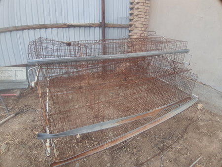 Tovuq,Xo‘roz,jo\\\'ja katak bilan sotiladi
