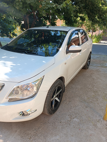 Vossen 16 diska balon