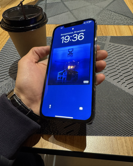 Iphone 12 Pro Max 256 Gb !